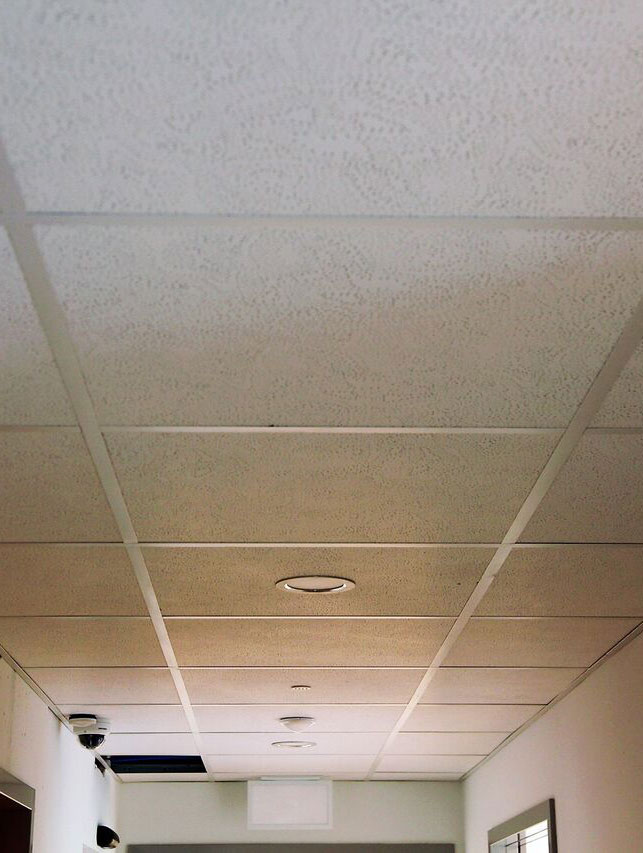 Les plafonds suspendus offrent une grande flexibilité